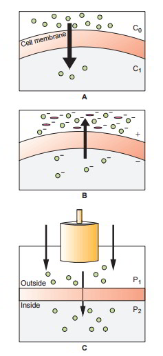 Factors Affecting Net Rate of Diffusion – Earth's Lab