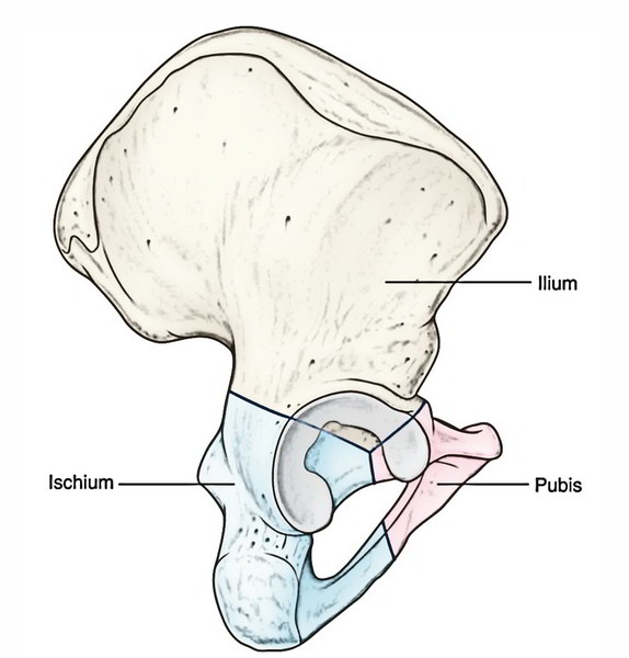 Easy Notes On 【Ilium】Learn in Just 4 Minutes!