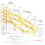 Brachial Plexus Anatomy and Clinical Correlation