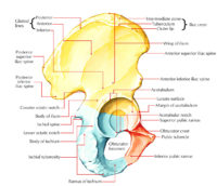 Ilium – Earth's Lab
